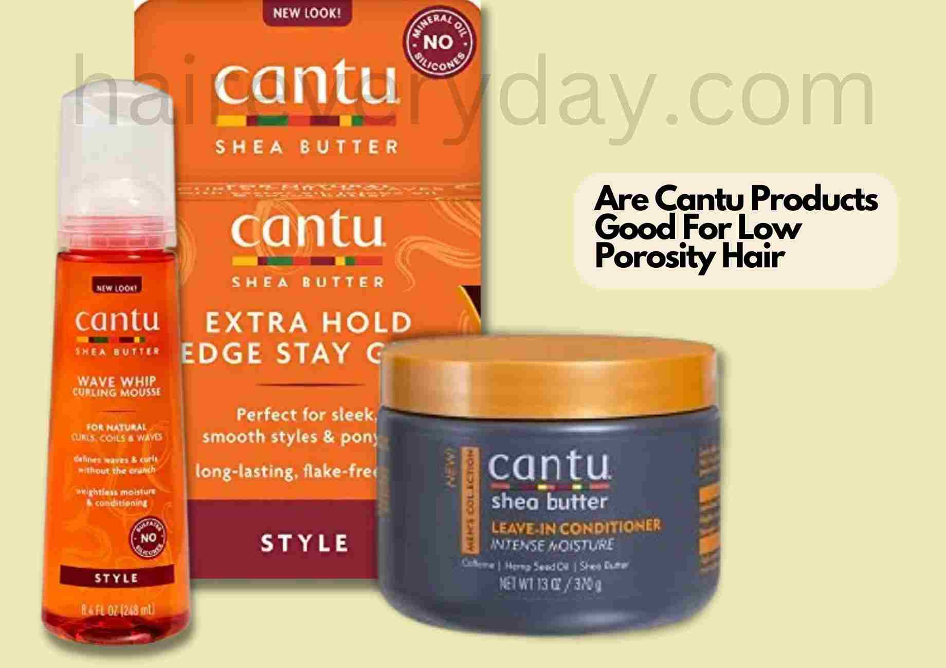 Are Cantu Products Good For Low Porosity Hair: Hair Expert Reveals The ...