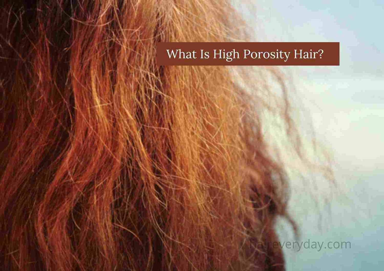Hair Care – Hair Everyday