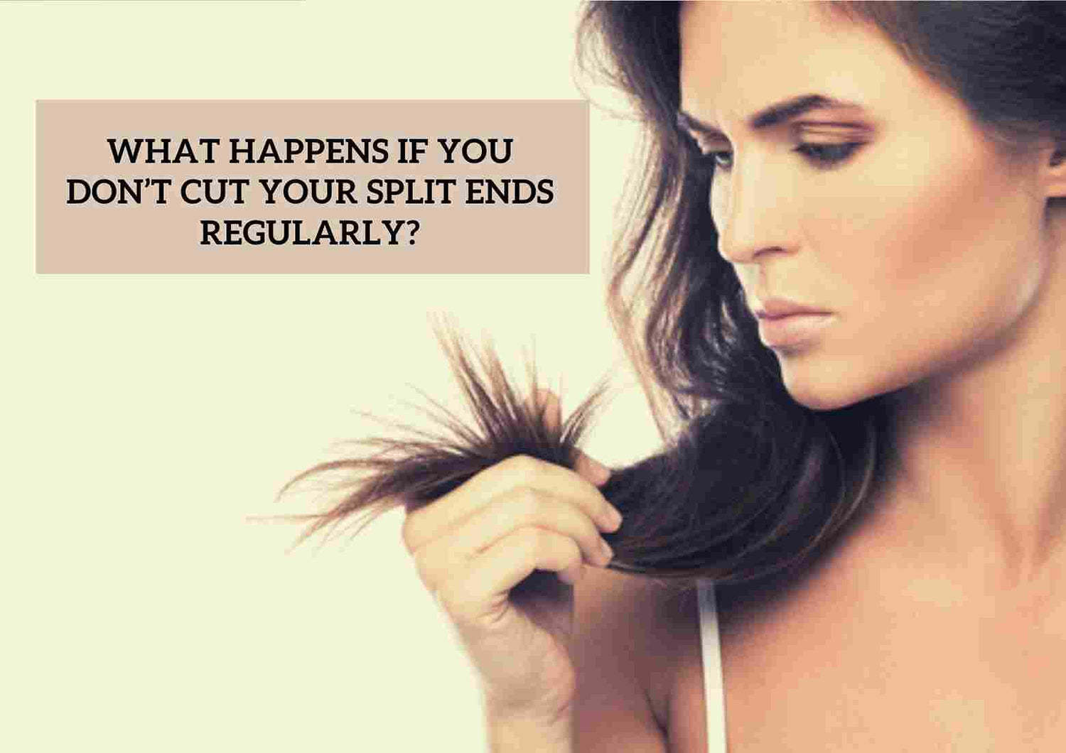What Happens if You Don’t Cut Your Split Ends Regularly – Hair Everyday