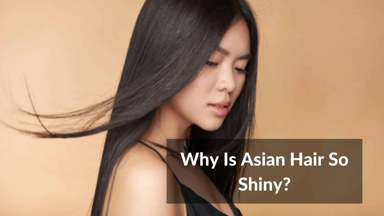 Why Is Asian Hair So Shiny: Scientific Reasons Why Asian Hair Is Shini ...